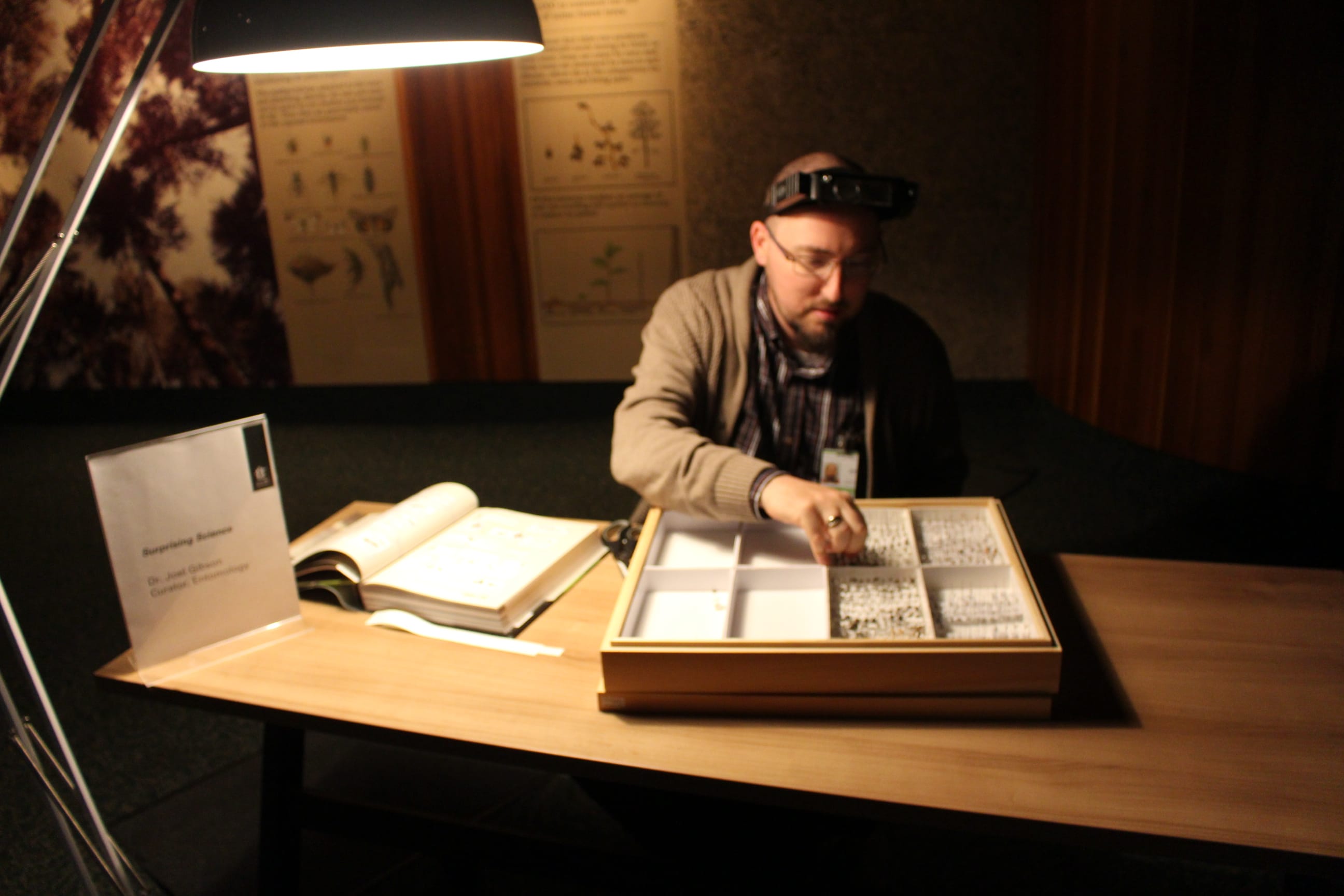 RBCM@Home | Royal BC Museum and Archives | Victoria, BC, Canada